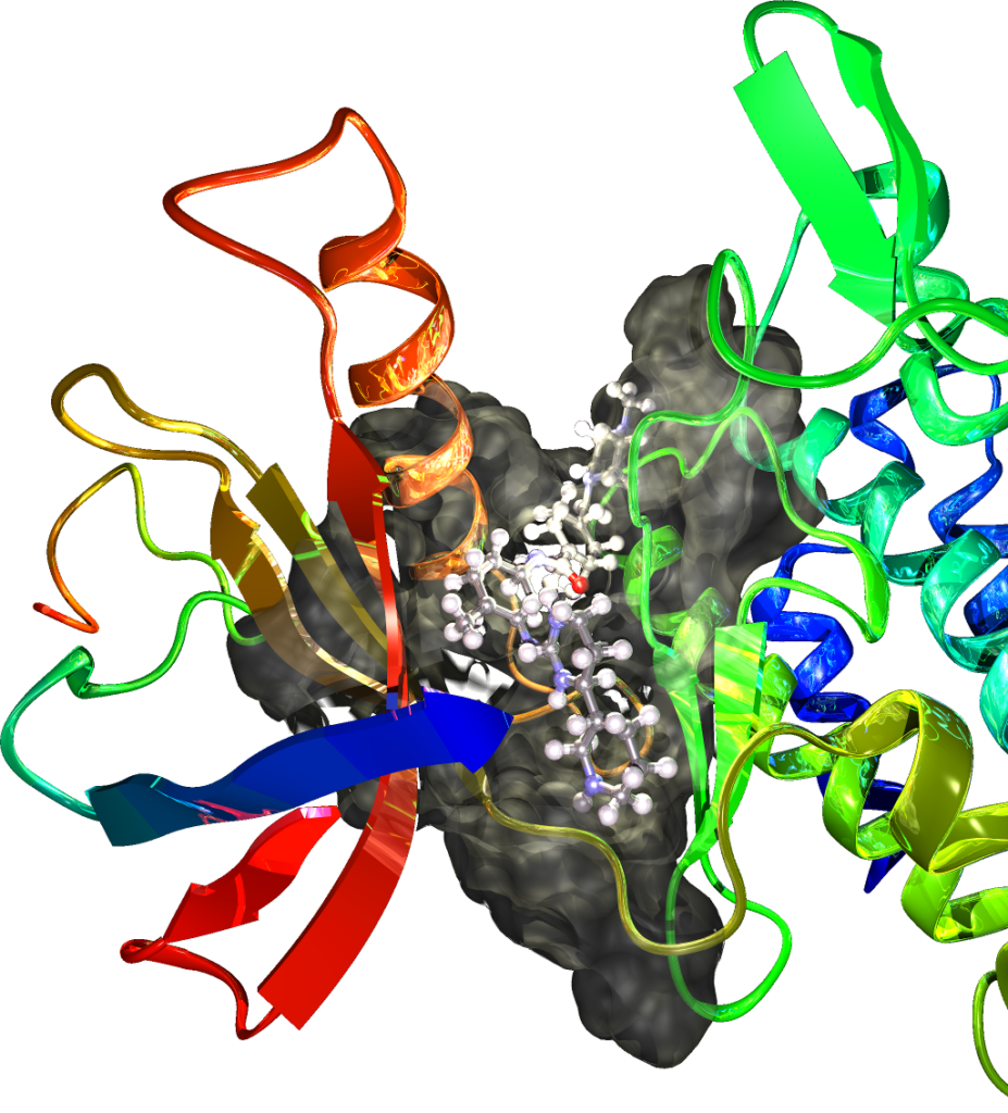 Klinische Bioinformatik (Prof. Keller) – Zentrum für Bioinformatik